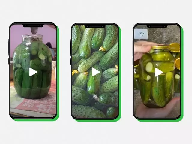 10 beste tiktok-recepten voor ingemaakte komkommer / Bloggers maken zich klaar voor de winter