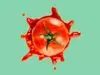 Ispanijos pomidorų mūšis / Dienos faktas
