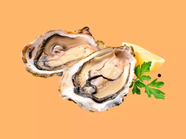Über die erste Person, die eine Auster gegessen hat / Zitat des Tages - Artikel aus der Kategorie "Essen und Unterhaltung" auf der Website