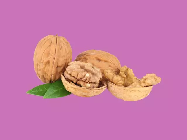 ນັກວິທະຍາສາດແອສປາໂຍນໄດ້ພົບເຫັນຄຸນສົມບັດທີ່ເປັນປະໂຫຍດໃຫມ່ຂອງ walnuts