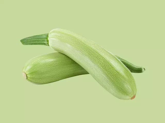Chefs offered recipes for zucchini dishes - news from the "How to cook" section on the website