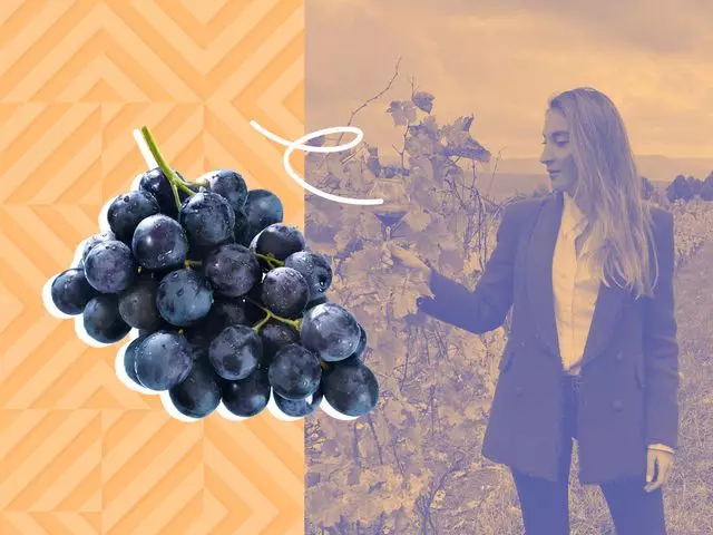 The King of the Grapes / Διεθνής Ημέρα Cabernet Sauvignon