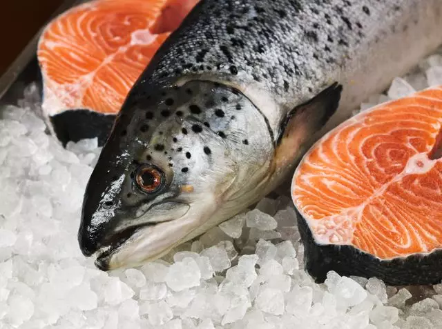 Woher wissen Sie, dass frischer Fisch keine Parasiten enthält / Expertenratschläge - ein Artikel aus der Rubrik "Essen" auf der Website