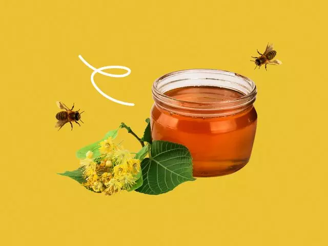 น้ำผึ้ง 9 สายพันธุ์ที่มีประโยชน์ที่สุด / วิธีการรวบรวมและสิ่งที่พวกเขาใช้สำหรับ - บทความจากส่วน "กินอะไร"