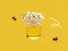 9 jenis madu yang paling berguna / Bagaimana ia dikumpulkan dan kegunaannya - artikel dari bahagian 