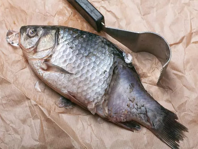 Treba li prodavač očistiti ribu na zahtjev kupca / komentar stručnjaka - članak iz rubrike "Što jesti" na stranici