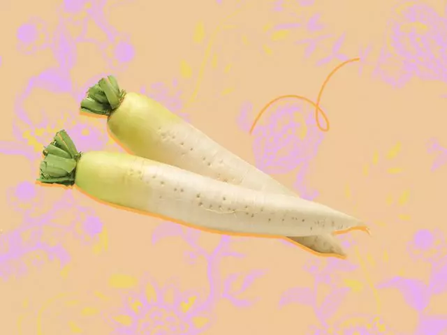 Jaký druh zeleniny daikon / Její přínosy a poškození zdraví - článek ze sekce „Co jíst“ na webu