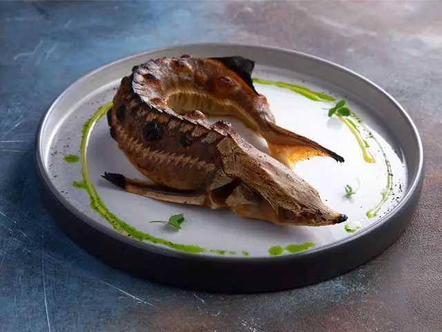 كيفية طهي أنواع نبيلة من الأسماك / وصفات لأطباق سمك الحفش وستيرليت - مقال من قسم "كيفية الطهي" على الموقع