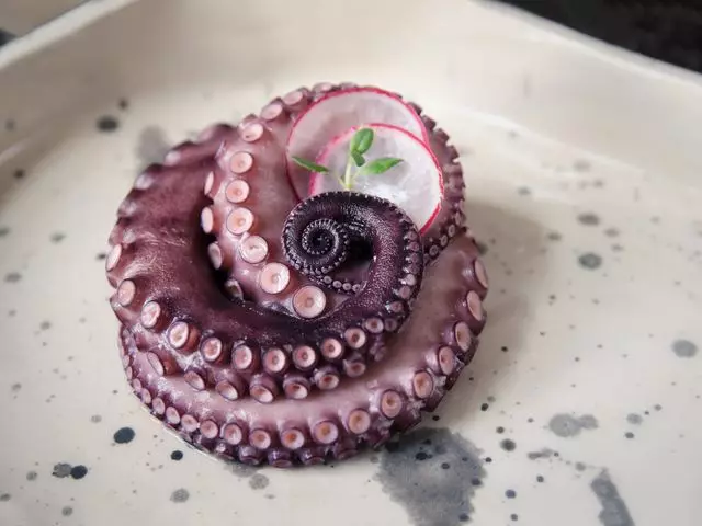 Tajne kuhanja hobotnice / Recepti iz Francuske, Italije i Grčke - članak iz odjeljka "Kako kuhati" na web stranici