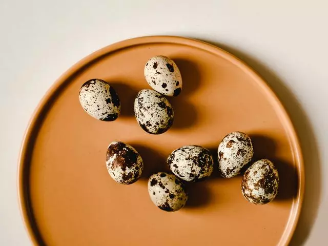 Si të ziejmë vezët e thëllëzave / Metoda të thjeshta gatimi - një artikull nga seksioni "Si të gatuajmë" në faqe