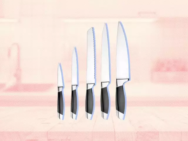Pertanyaan panas / Bagaimana memilih pisau yang bagus - artikel dari bagian "Cara melengkapi dapur" di situs