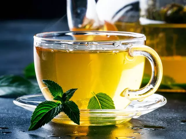 Чай з м'ятою / Користь та шкода запашної трави – стаття з рубрики "Здорова їжа" на сайт