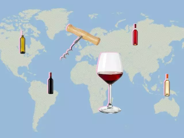 Vecās un jaunās pasaules vīni / Kas tas ir un kā izvēlēties - raksts no vietnes sadaļas "Kā atpūsties"