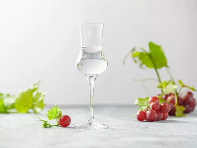 Come bere la grappa / E con cosa servirla - un articolo della sezione "Come rilassarsi" del sito