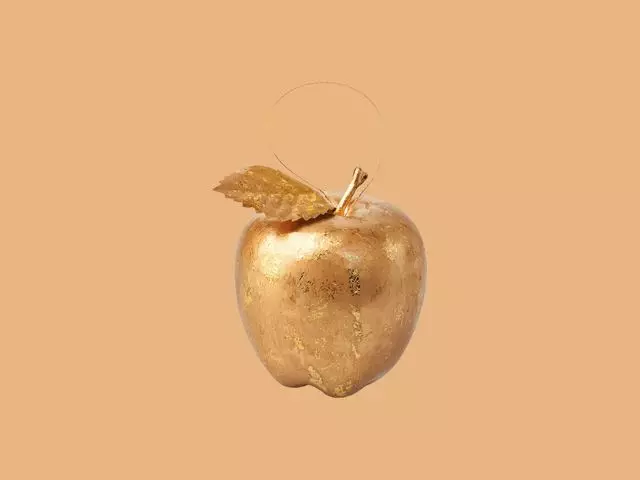 کرسمس کی سب سے مشہور سجاوٹ سیب کی ناقص فصل کی وجہ سے ظاہر ہوئی / دن کی حقیقت - سائٹ پر "خوراک اور تفریح" سیکشن کا ایک مضمون