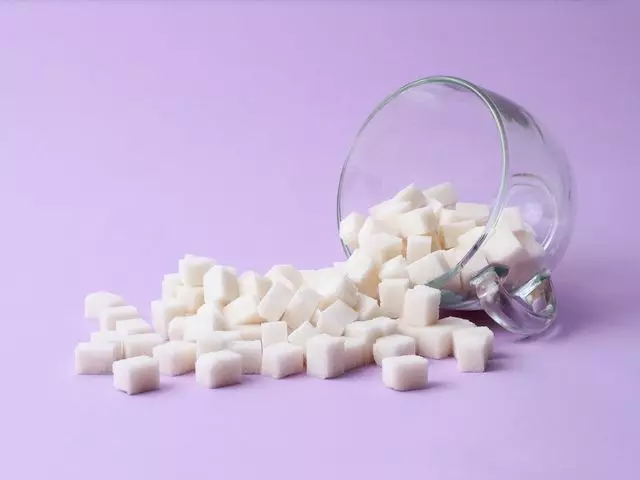 6 δημοφιλείς μύθοι για τη ζάχαρη / Καταρρίπτοντας τις μεγαλύτερες παρανοήσεις