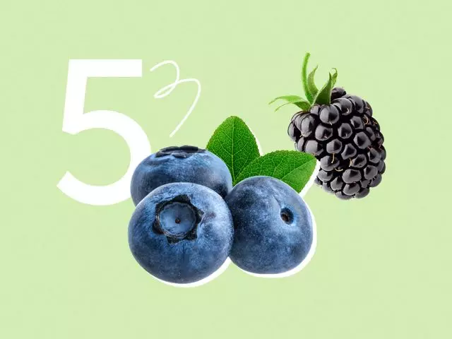 Nangungunang 5 pinaka-kapaki-pakinabang na berries / Bakit dapat silang kainin pareho sa tag-araw at taglamig