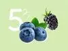 最健康的 5 种浆果 / 为什么夏天和冬天都应该吃