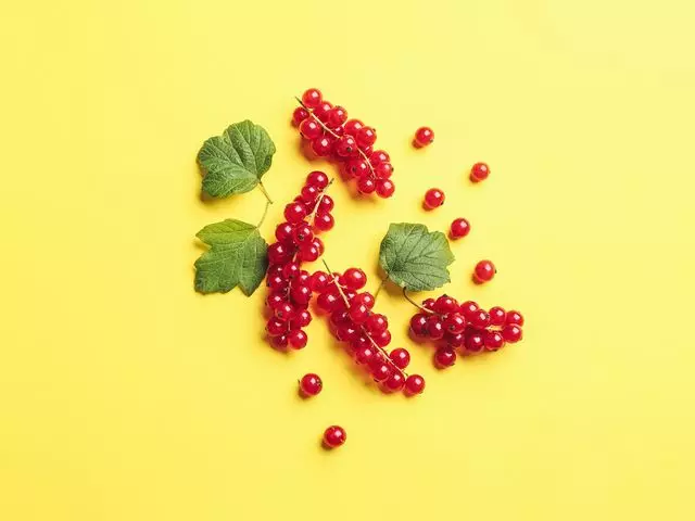 Cara memilih dan menyimpan buah beri musiman / Saran ahli dari Roskachestvo - artikel dari bagian "Cara menyimpan" di situs