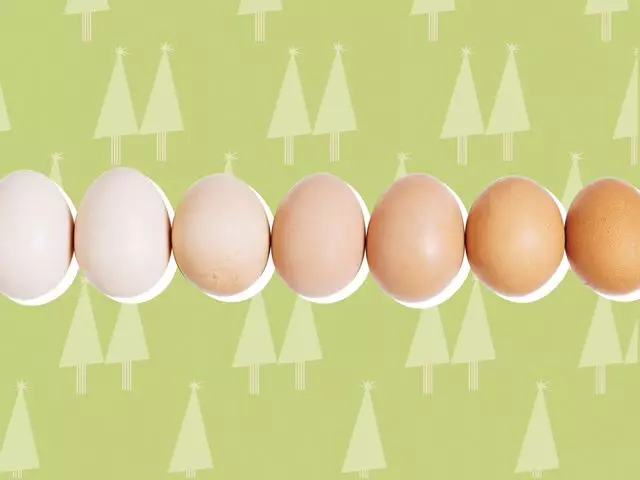 Bagaimana telur diet berbeda dari telur meja / Apakah layak untuk membayar lebih - sebuah artikel dari bagian "Apa yang harus dimakan" di situs
