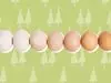 Kako se dietna jajca razlikujejo od namiznih / Ali je vredno preplačati