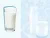 Como a bola de neve difere do kefir / E por que é útil beber esses produtos lácteos