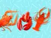 Kini iyato laarin lobster, lobster ati spiny lobster / Bawo ni lati yan ati sise wọn