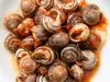 食用蜗牛 / 品种、益处和制备方法 - 来自网站“吃什么”部分的文章 1947_2
