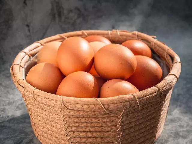 Sådan holder du æg friske uden køleskab / I en uge, en måned og seks måneder - en artikel fra afsnittet "Sådan opbevares" på webstedet