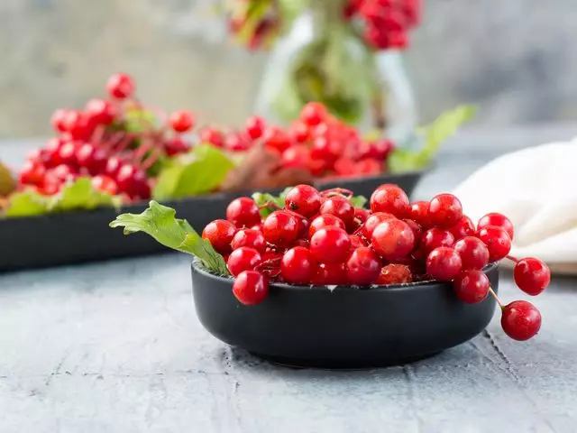 viburnum มีประโยชน์อย่างไรสำหรับ / และใครที่เป็นผลไม้ที่มีรสขมเป็นอันตรายต่อ - บทความจากส่วน "อาหารเพื่อสุขภาพ" บนเว็บไซต์