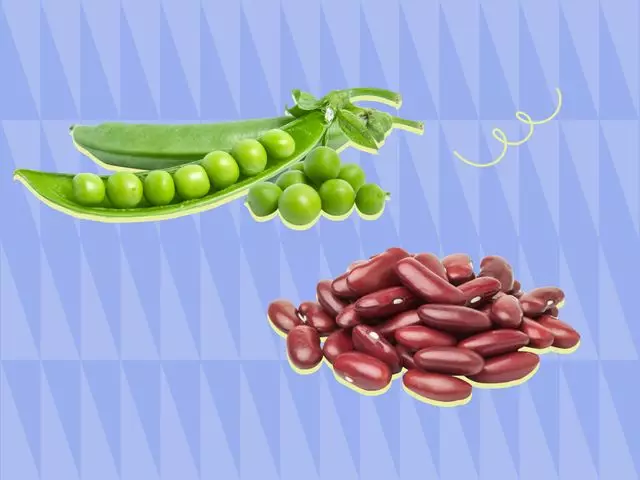 如何在家中儲存豆類和豌豆 / 三種行之有效的方法 - 來自網站“如何儲存”部分的文章