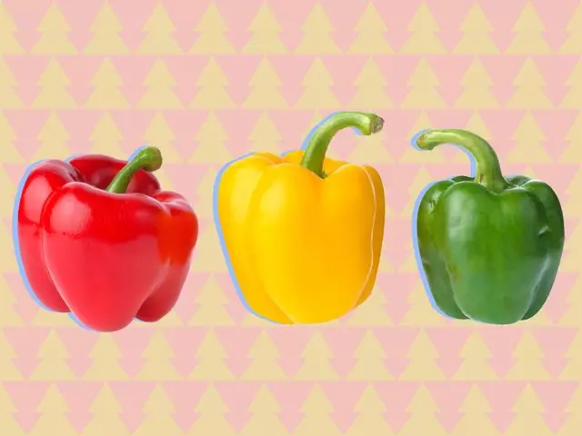 Wat te koken van verschillende soorten paprika / Van groentesalades tot conservering - een artikel uit het gedeelte "Wat te eten" op de site