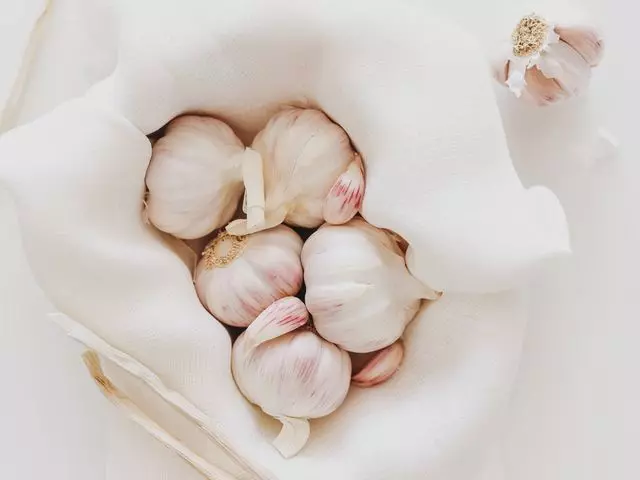 How to store garlic / Three ways to help the vegetable not lose its benefits and taste - an article from the "How to store" section on the site