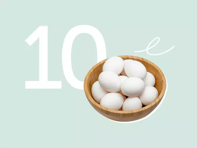 10 interessante Fakten über Eier