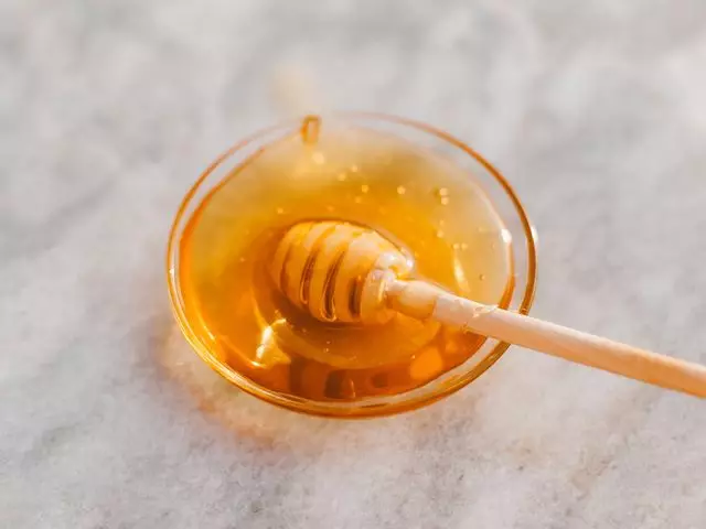 꿀의 종류와 종류 / 천연물과 가짜를 구별하는 방법 - 사이트의 "먹을 것" 섹션의 기사