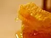 Llojet dhe varietetet e mjaltit / Si të dalloni një produkt natyral nga ai i rremë - një artikull nga seksioni 