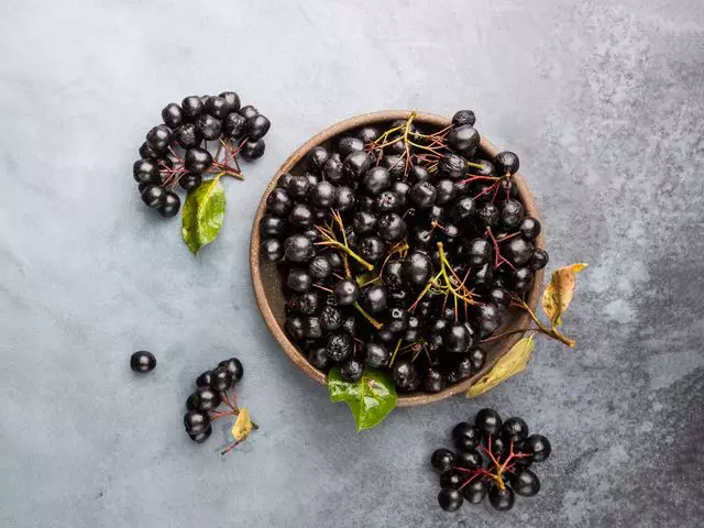 Wat om van chokeberry te kook as kompote moeg is / Oorsig van resepte met gesonde bessies - 'n artikel uit die afdeling "Hoe om te kook" op die webwerf