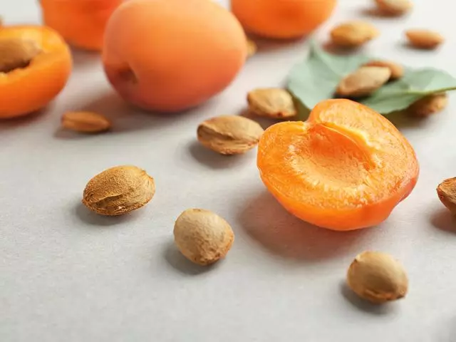 Ma apricot kernels / Phindu ndi zovulaza - nkhani yochokera kugawo la "Phindu kapena Kuvulaza" kupita patsamba