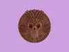 V civilizaciji Majev je čokolada služila kot valuta / Dejstvo dneva