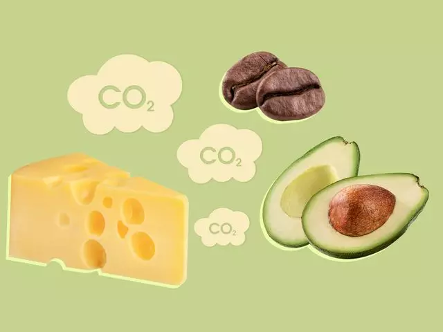 Cómo el consumo de alimentos afecta el medio ambiente / Producción de alimentos y ecología: un artículo del encabezado "Enfoque responsable" del sitio