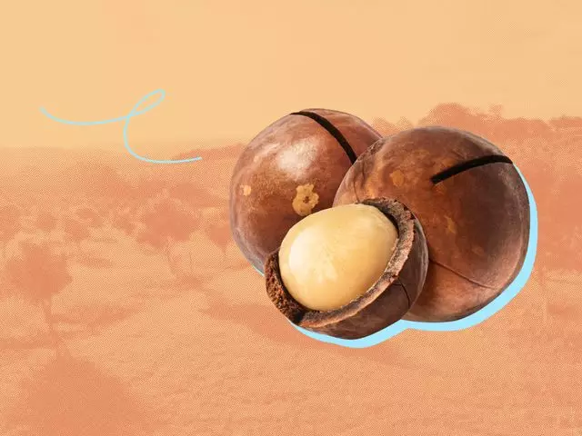 Kacang paling mahal di dunia / Sifat berguna macadamia - artikel dari bahagian "Apa yang perlu dimakan" di laman web ini