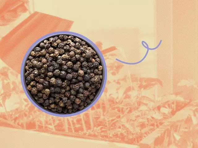 Si rritet piperi i zi / Dhe a është e mundur ta kultivoni atë në shtëpi - një artikull nga seksioni "Çfarë duhet të hani" në faqe