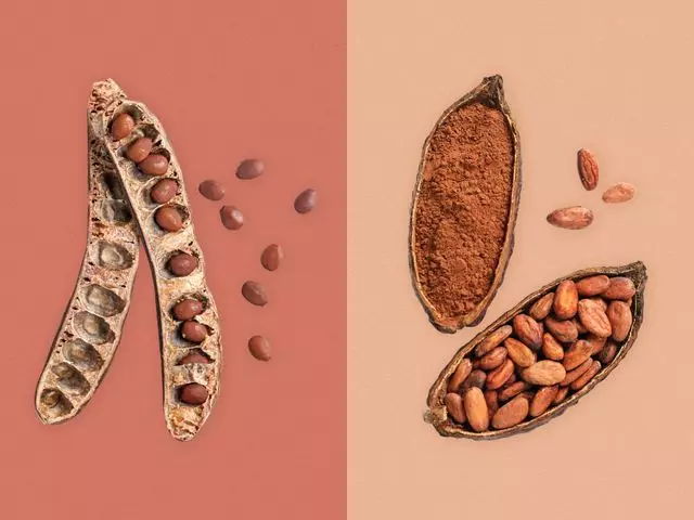 Ce este roșcovul / Și de ce este mai bun decât cacao - un articol din secțiunea „Ce să mănânci” de pe site
