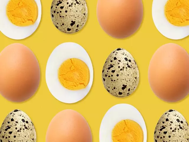 세계 계란의 날은 언제 누가 발명했는지 / 흥미로운 사실과 인기있는 요리 - 사이트의 "음식 및 엔터테인먼트"섹션의 기사