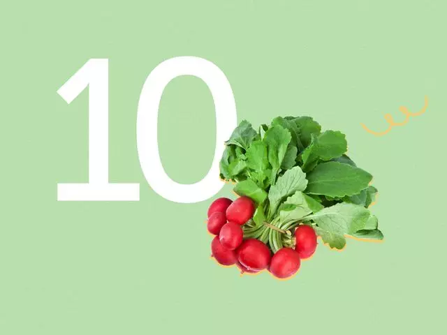 10 fakta menakjubkan tentang lobak