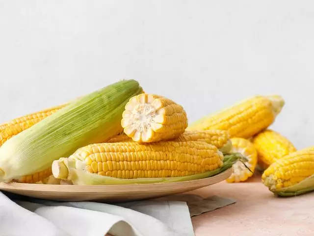 Cómo elegir el maíz / Las principales características de las mazorcas de calidad: un artículo de la sección "Qué comer" en el sitio