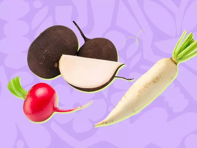 Daikon, rábano, rábano / Similitudes y diferencias de vegetales populares: artículo de la sección "Comida saludable" en el sitio