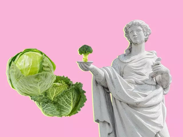 Od brokolija do savoja: vodnik po sortah zelja / In zanimiva dejstva - članek iz razdelka "Kaj jesti" na spletnem mestu