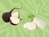 Зошто ротквицата е корисна и како може да наштети / Сметаме црни, зелени и бели сорти