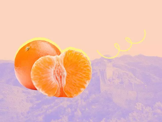什么是有用和有害的橘子/网站上的食谱 - 来自网站“好处或伤害”部分的文章